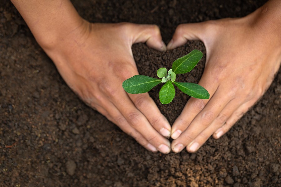 New Environment Bill Progresses Through Parliament.