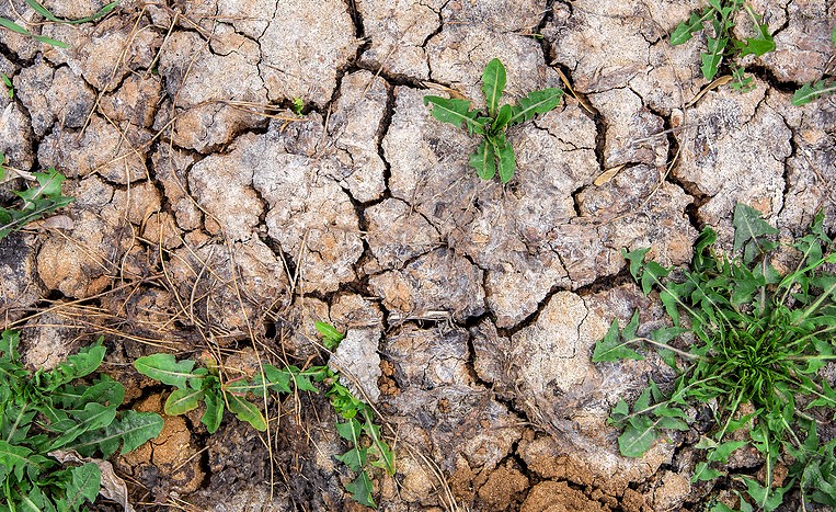 Drought Conditions Reveal Submerged Secrets Of The Deep